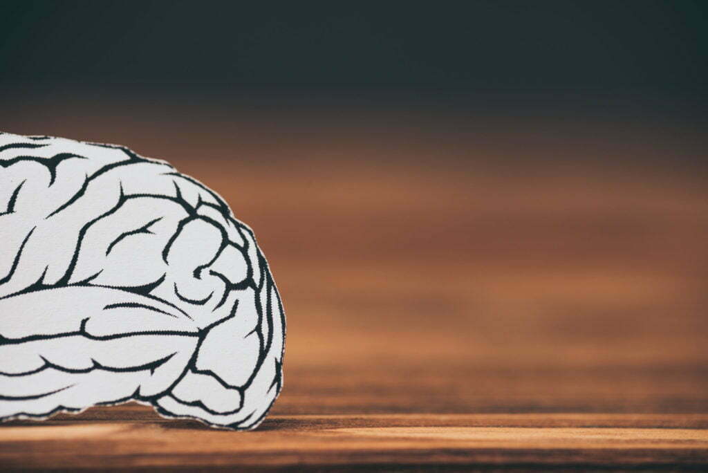 What Happens To The Brain With Alzheimer's Disease? - Solar Cells